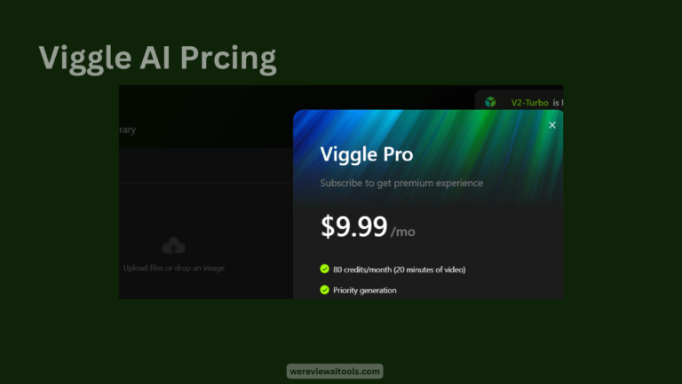 How to use Viggle AI - wereviewaitools